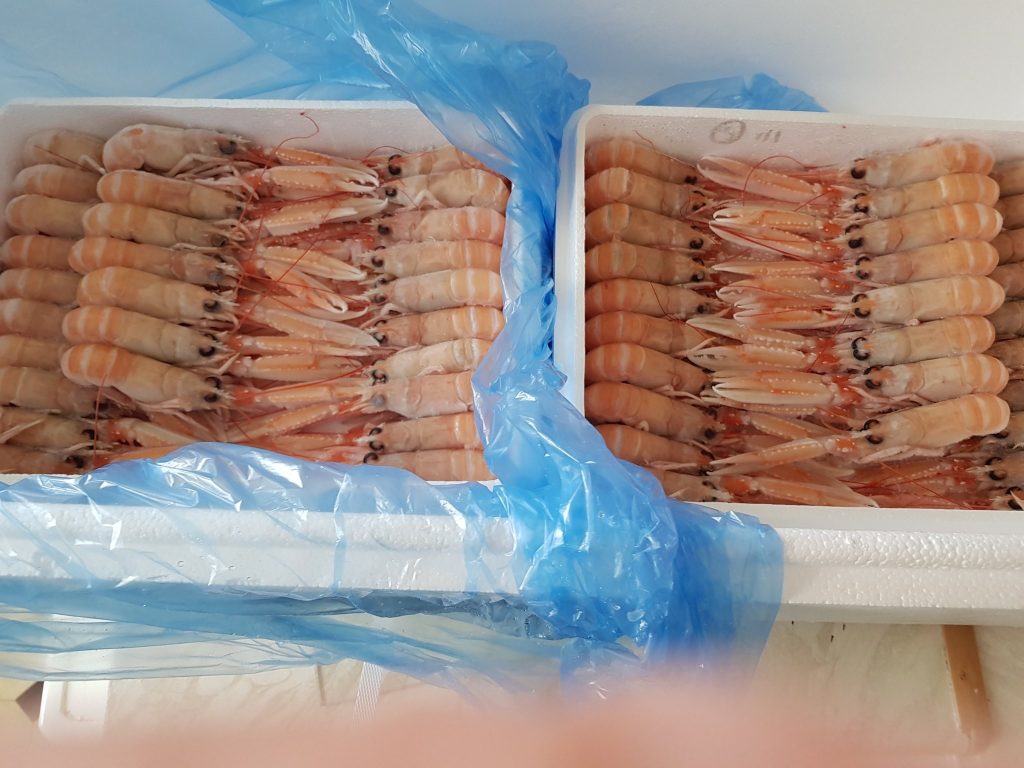 Polypackaging – polystyrene boxes and packaging solutions – polystyrene ...